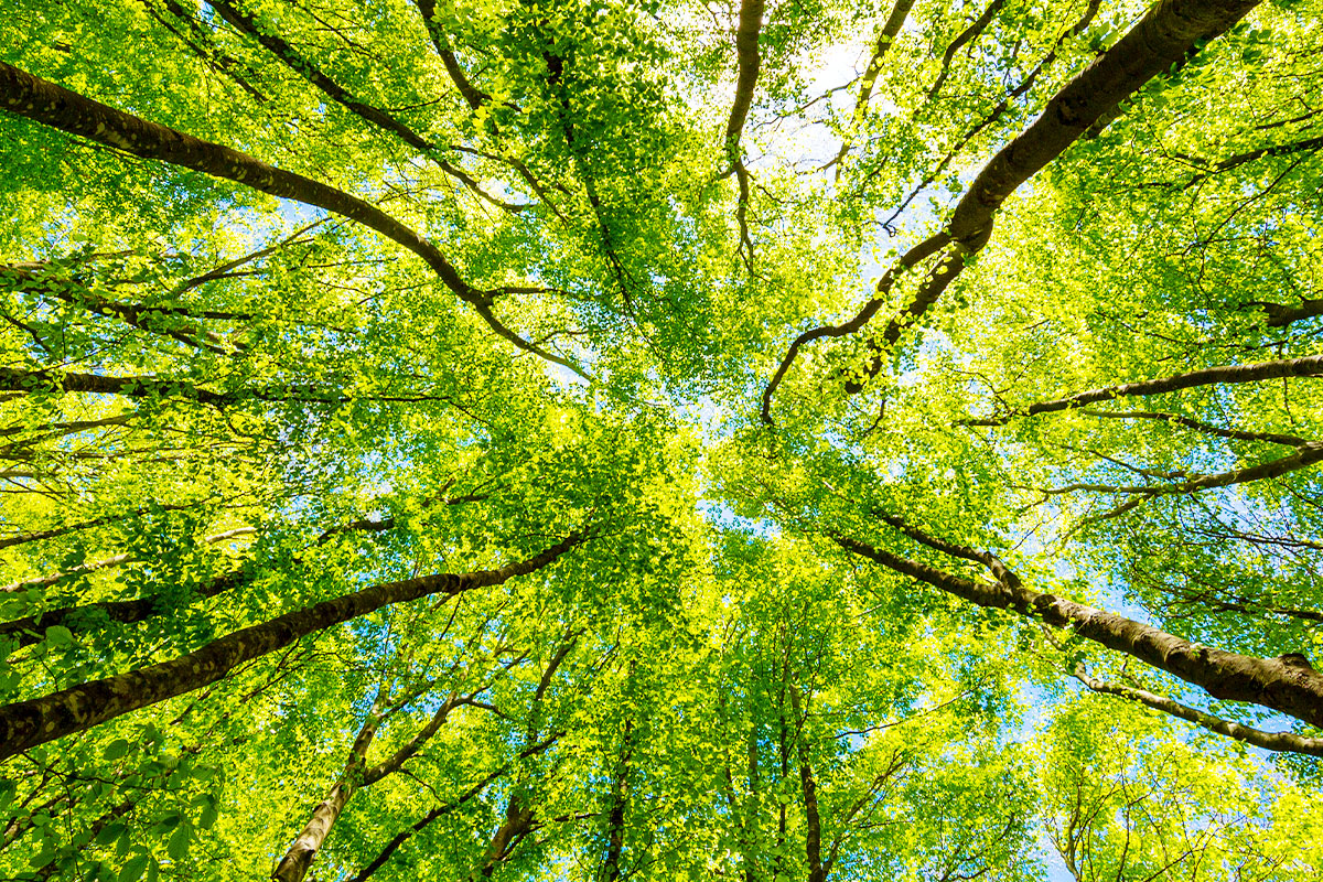 Achieving All Dimensions Of Wellness In The Workplace achieving-all-dimensions-of-wellness-in-the-workplace